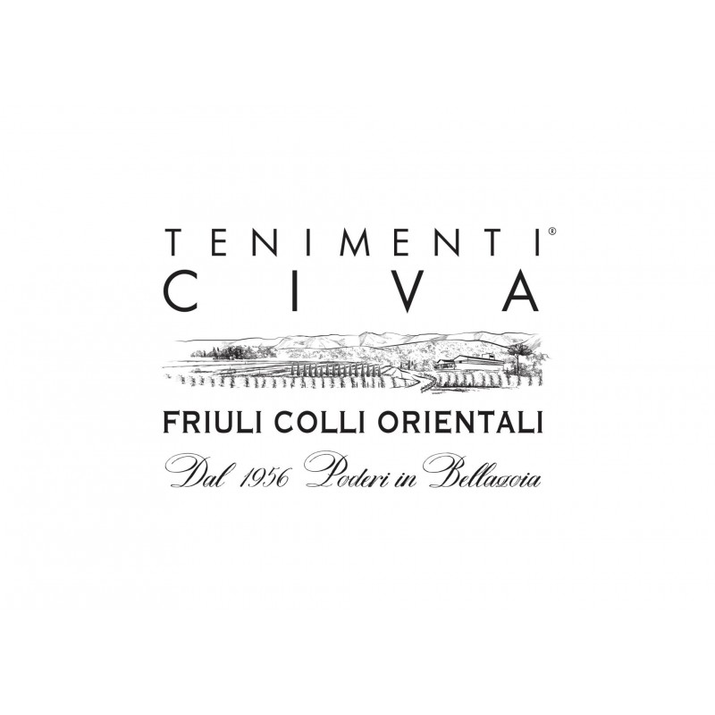 Ribolla Gialla Frizzante i.g.t. Venezia Giulia 75 cl - Tenimenti Civa